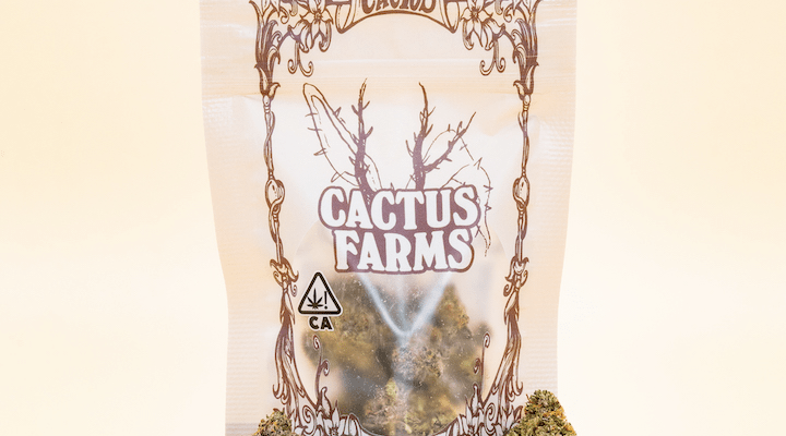 Travis Scott säljer cannabissorten "Cactus Farms" - Dopest