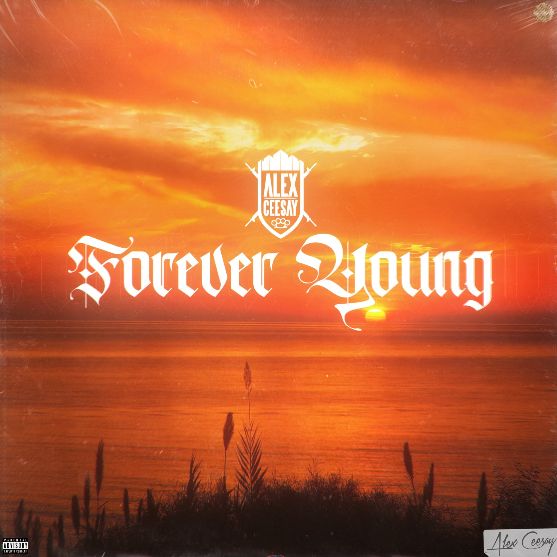 Alex Ceesay saktar ned tempot på ”Forever Young” - Dopest