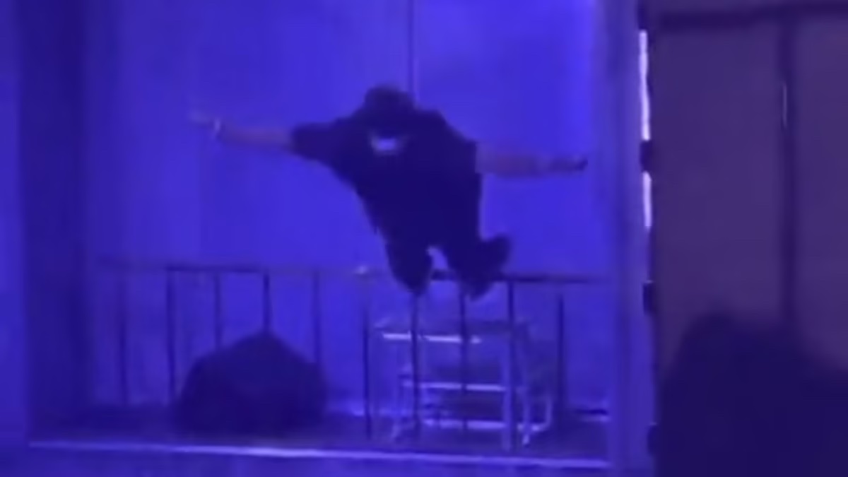 Rod Wave hoppar från balkong - Dopest